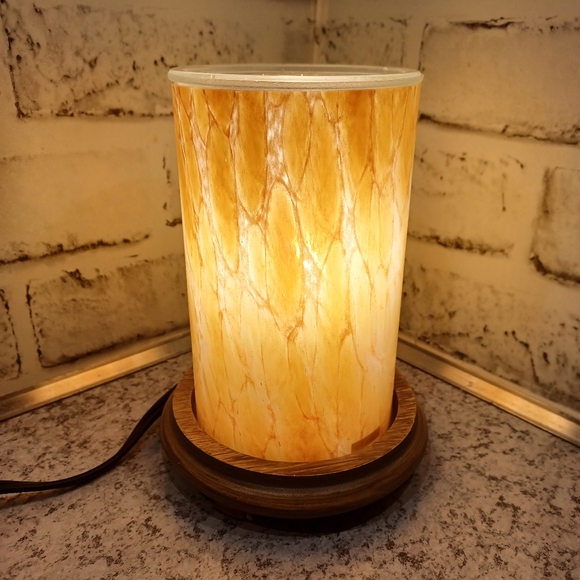Pink Zebra | Accents | Tan Art Glass Wood Base Pink Zebra Simmer Pot ...